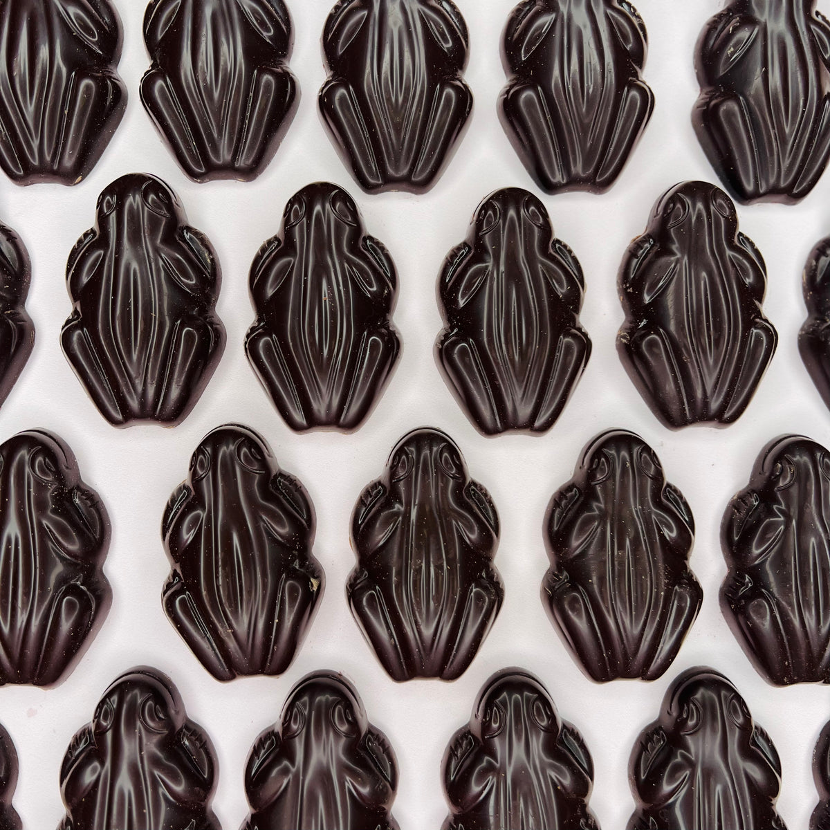 Dark Chocolate Frog – Cha Cha Chocolate