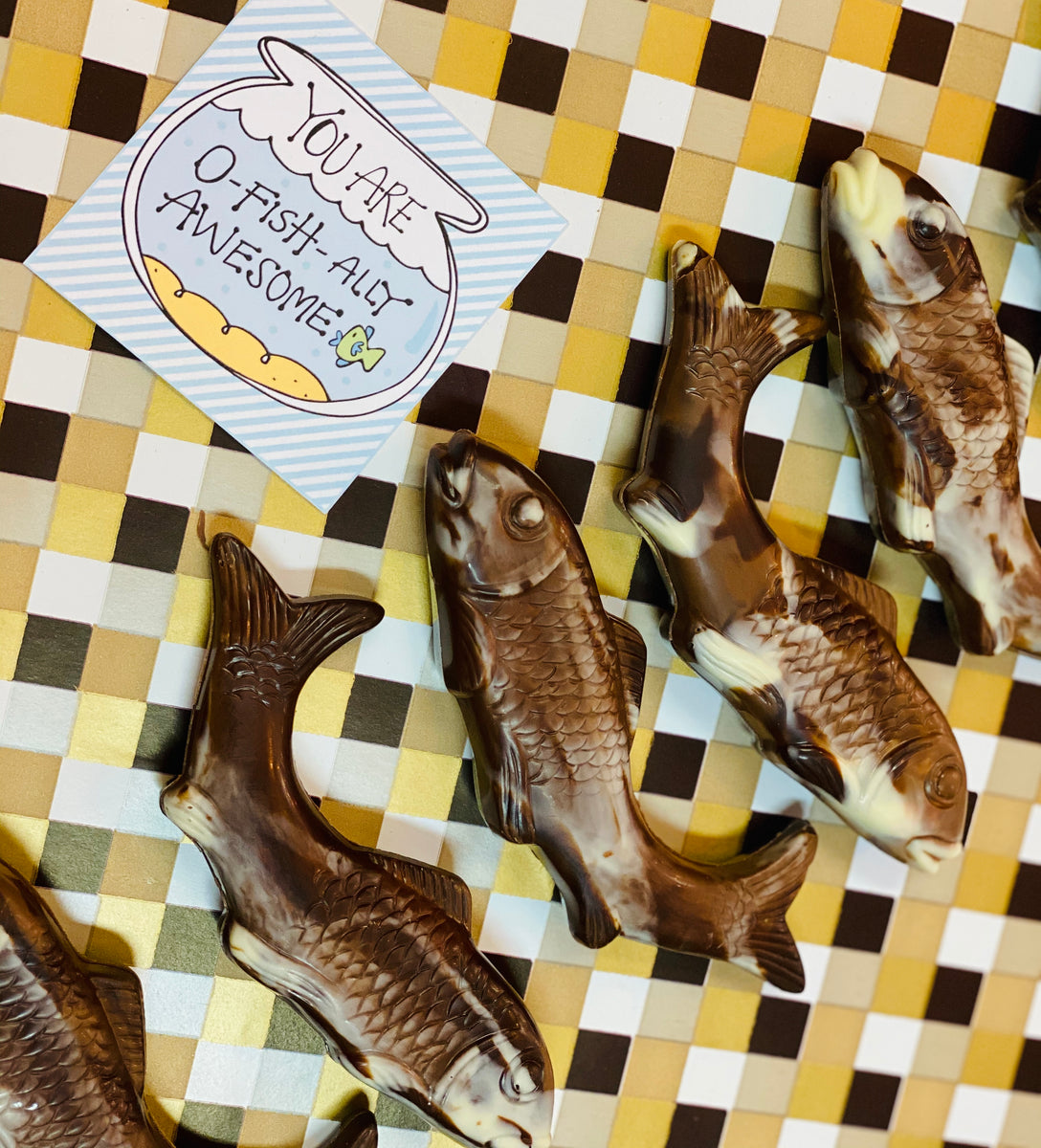 Chocolate Fish – Cha Cha Chocolate